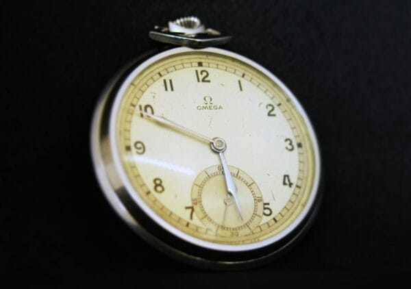 An Expert's Guide To Omega Reference Numbers